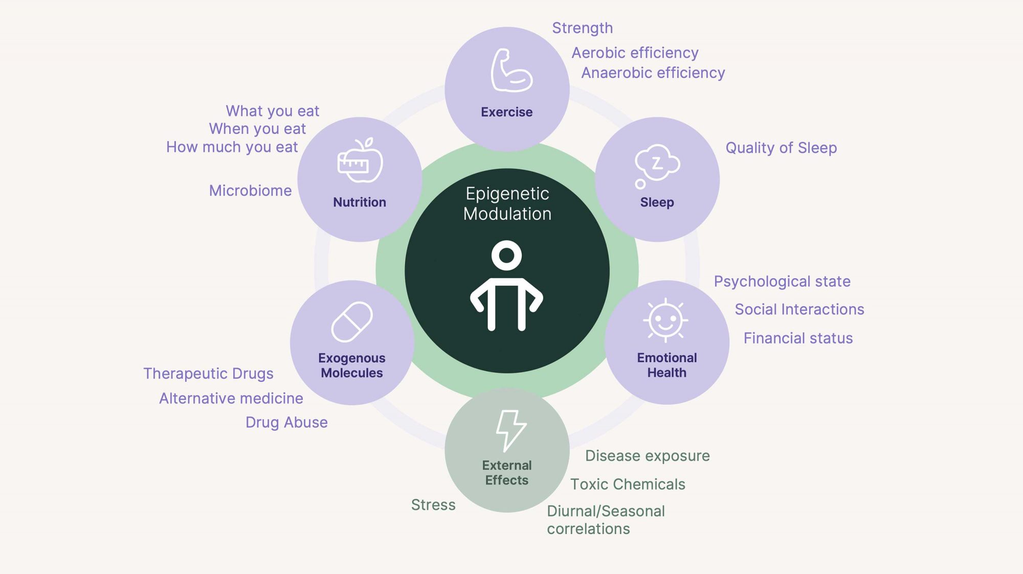 Why We Age - Part 1 - Tina Sprinkle
